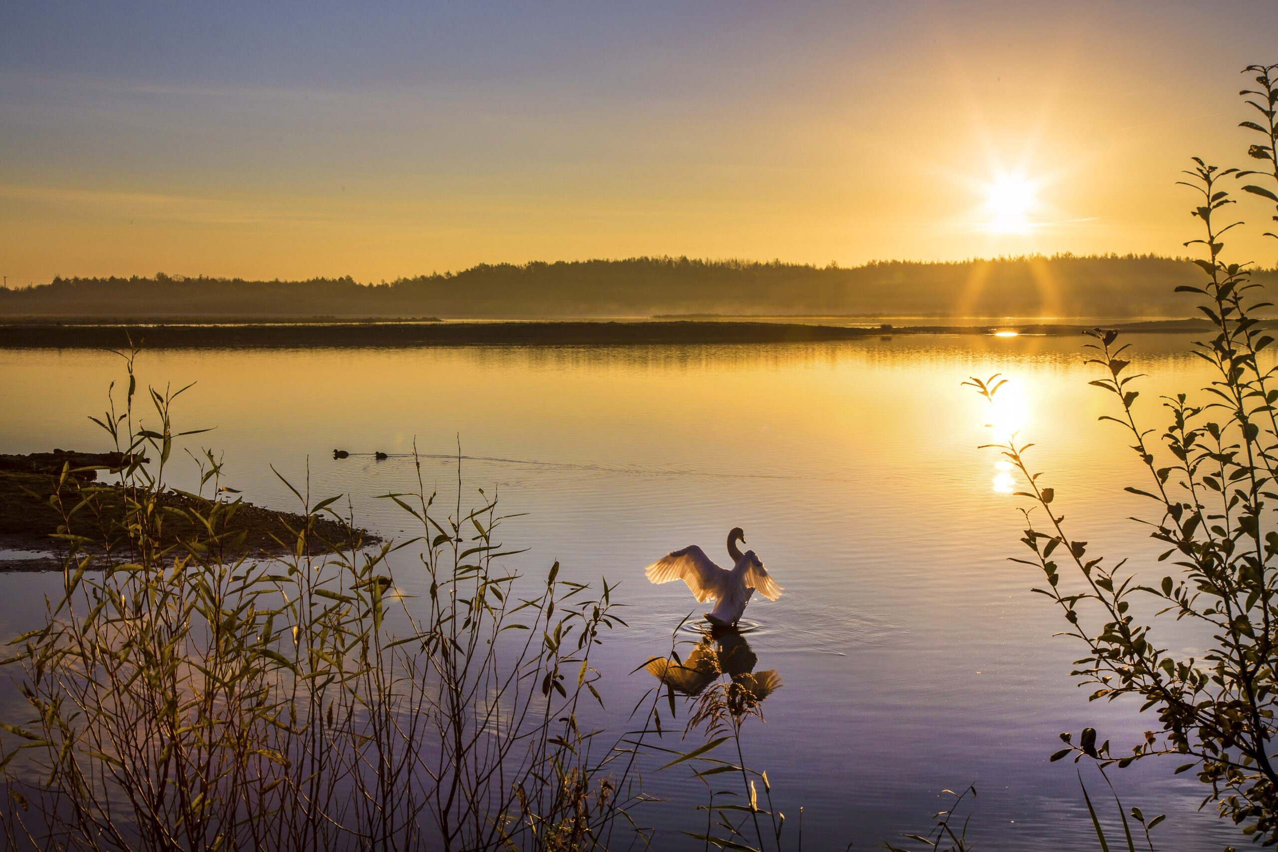 RSPB Case Study | Acorn Segmentation for Conservation Success